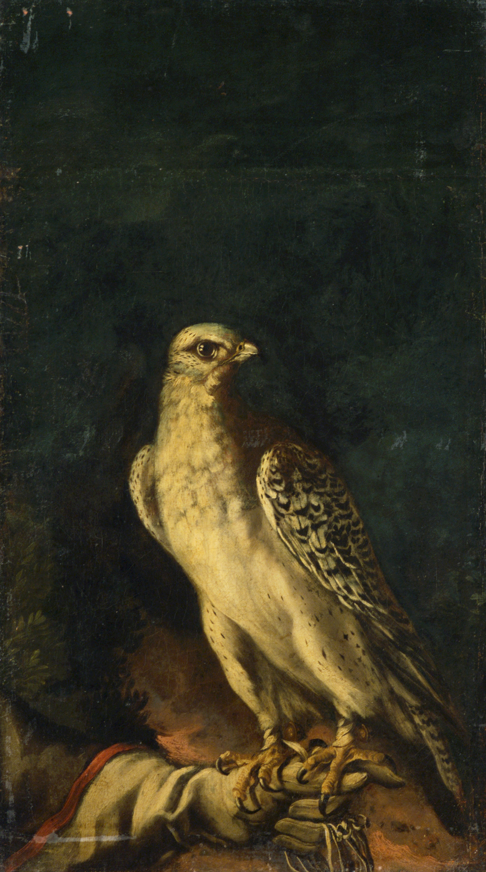 Falke - Artworks - Kunsthistorisches Museum - KHM.at