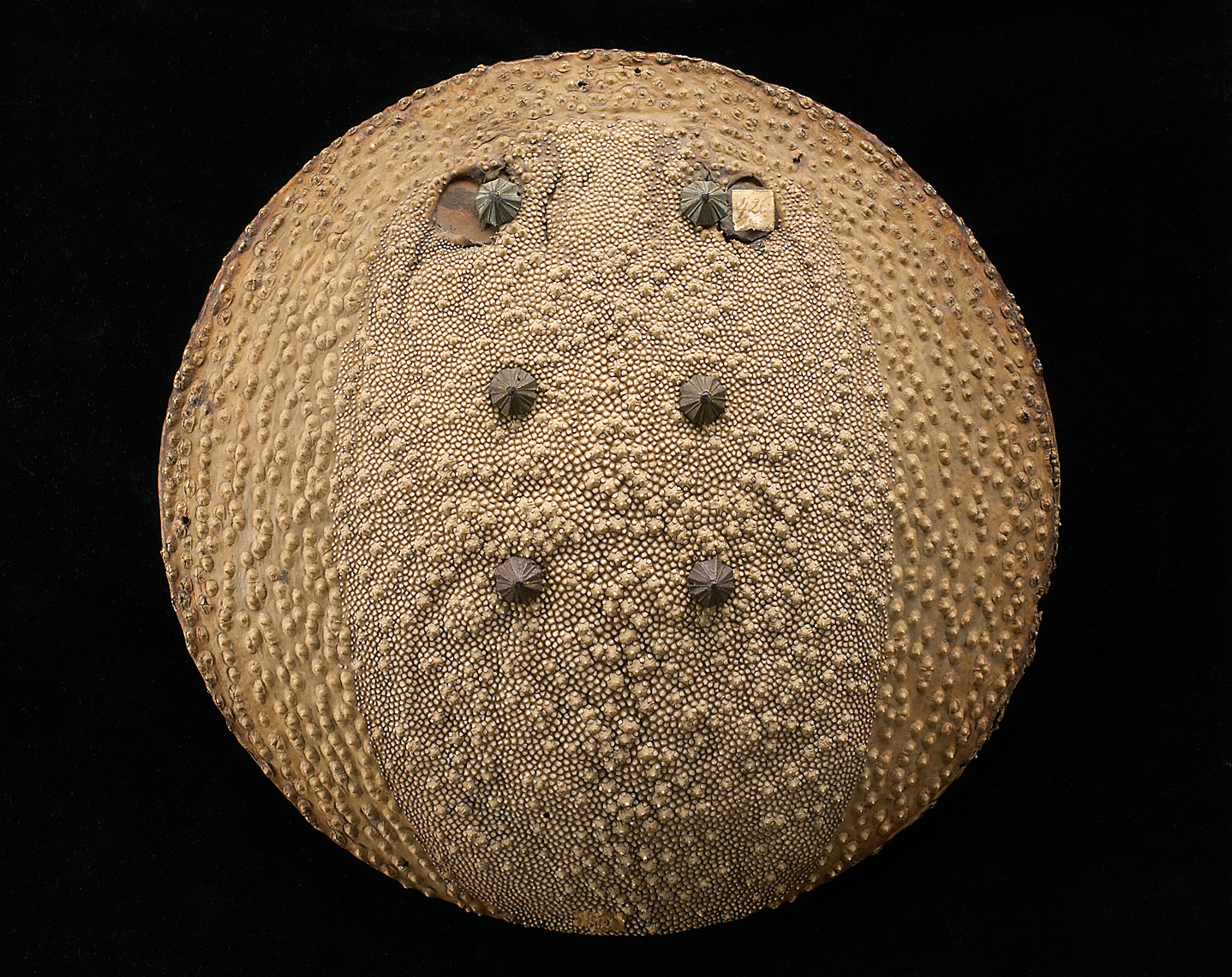 Schild - Artworks - Kunsthistorisches Museum - KHM.at